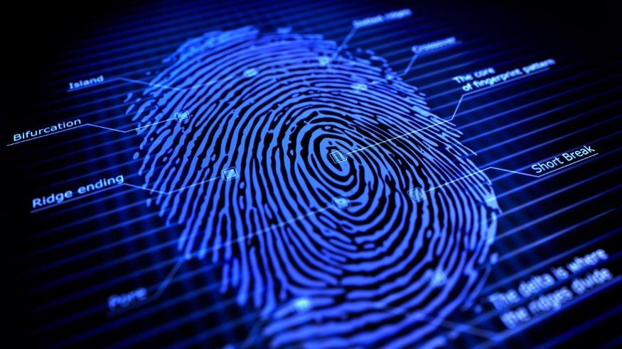 Fingerprinting Services | Colorado Springs, CO | The Mail Center